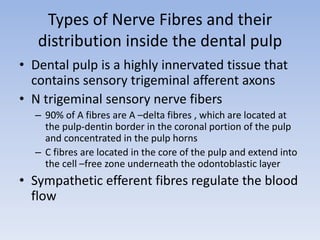 Dental pulp status | PPT