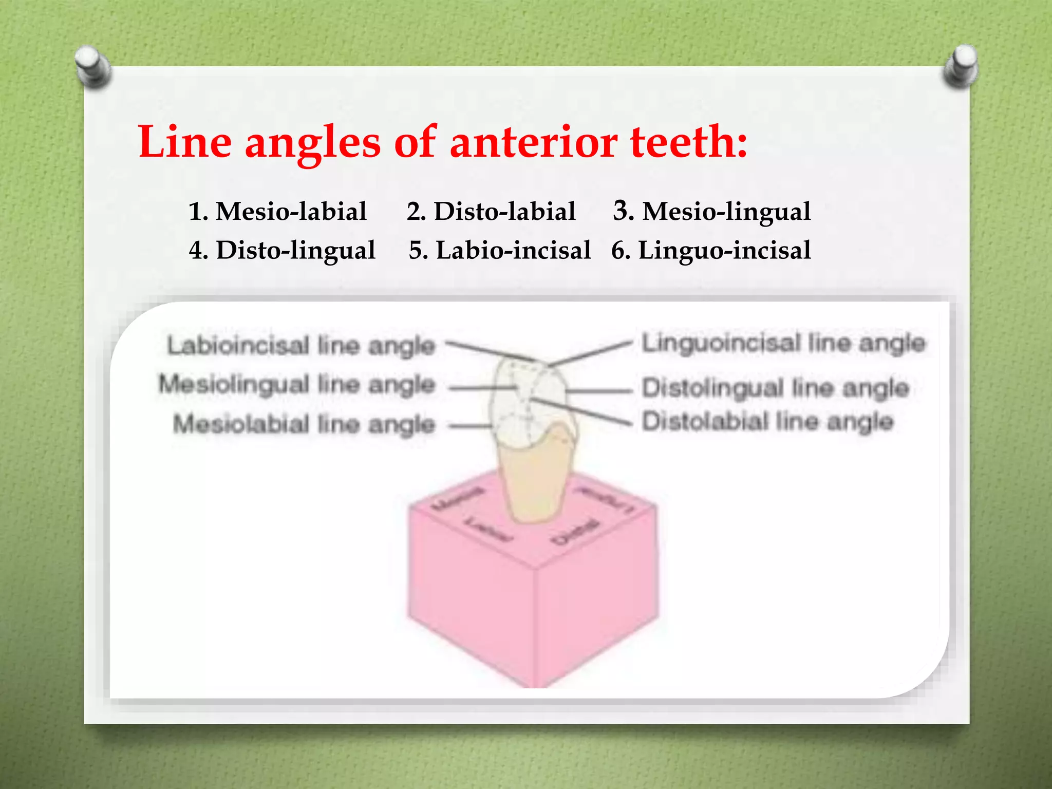 Dental ِِِAnatomy | PPTX