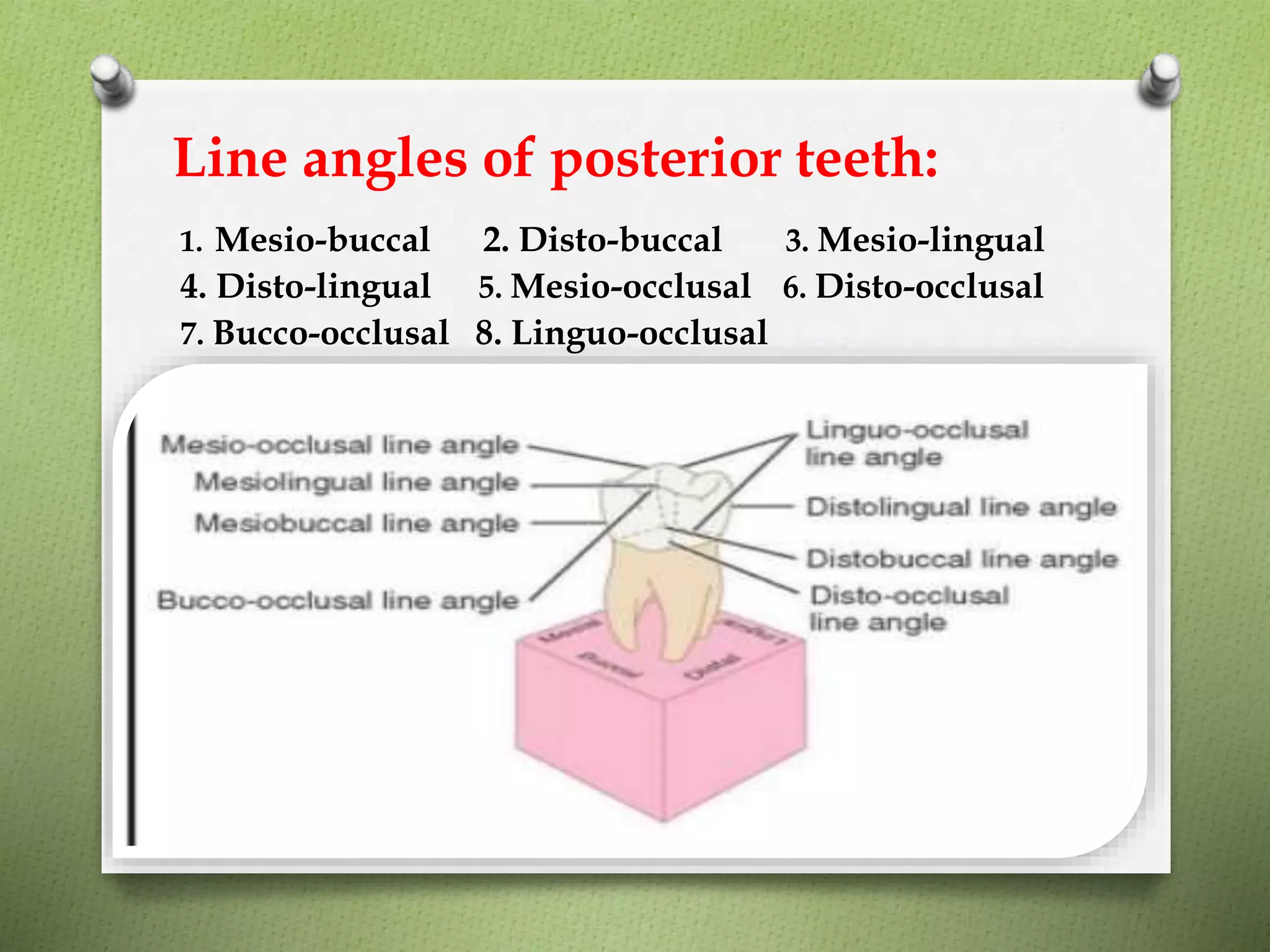 Dental ِِِAnatomy | PPTX