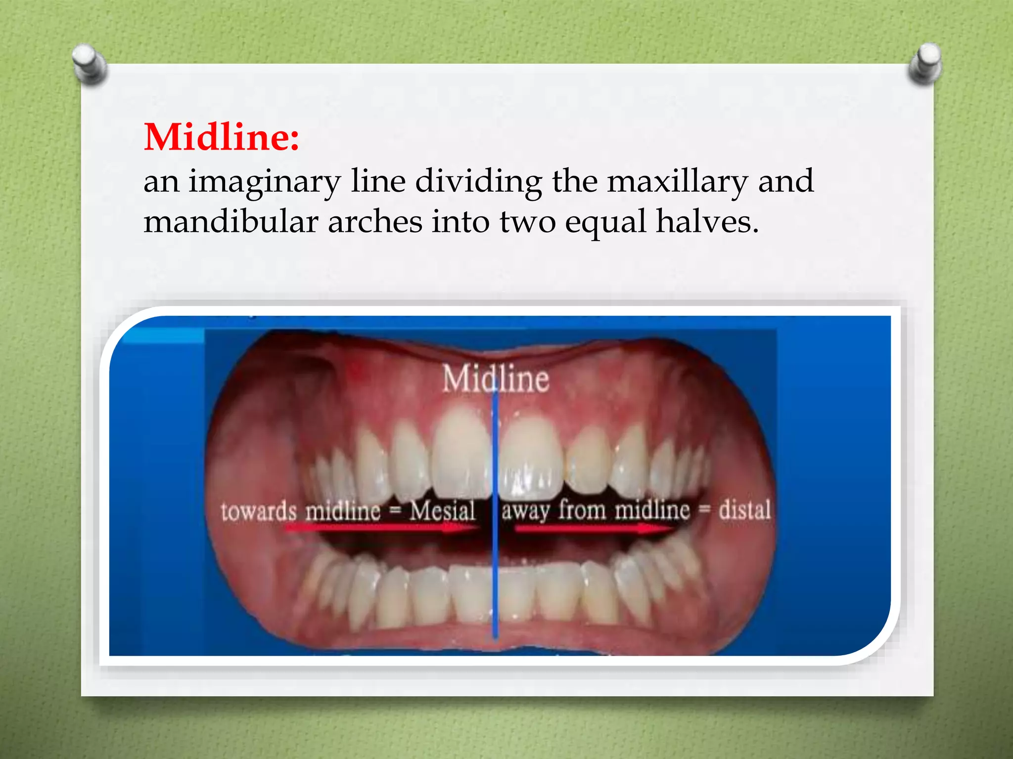 Dental ِِِAnatomy | PPTX