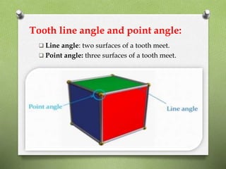 Dental ِِِAnatomy | PPTX