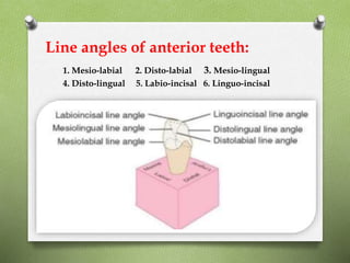 Dental ِِِAnatomy | PPTX