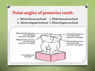Dental ِِِAnatomy | PPTX