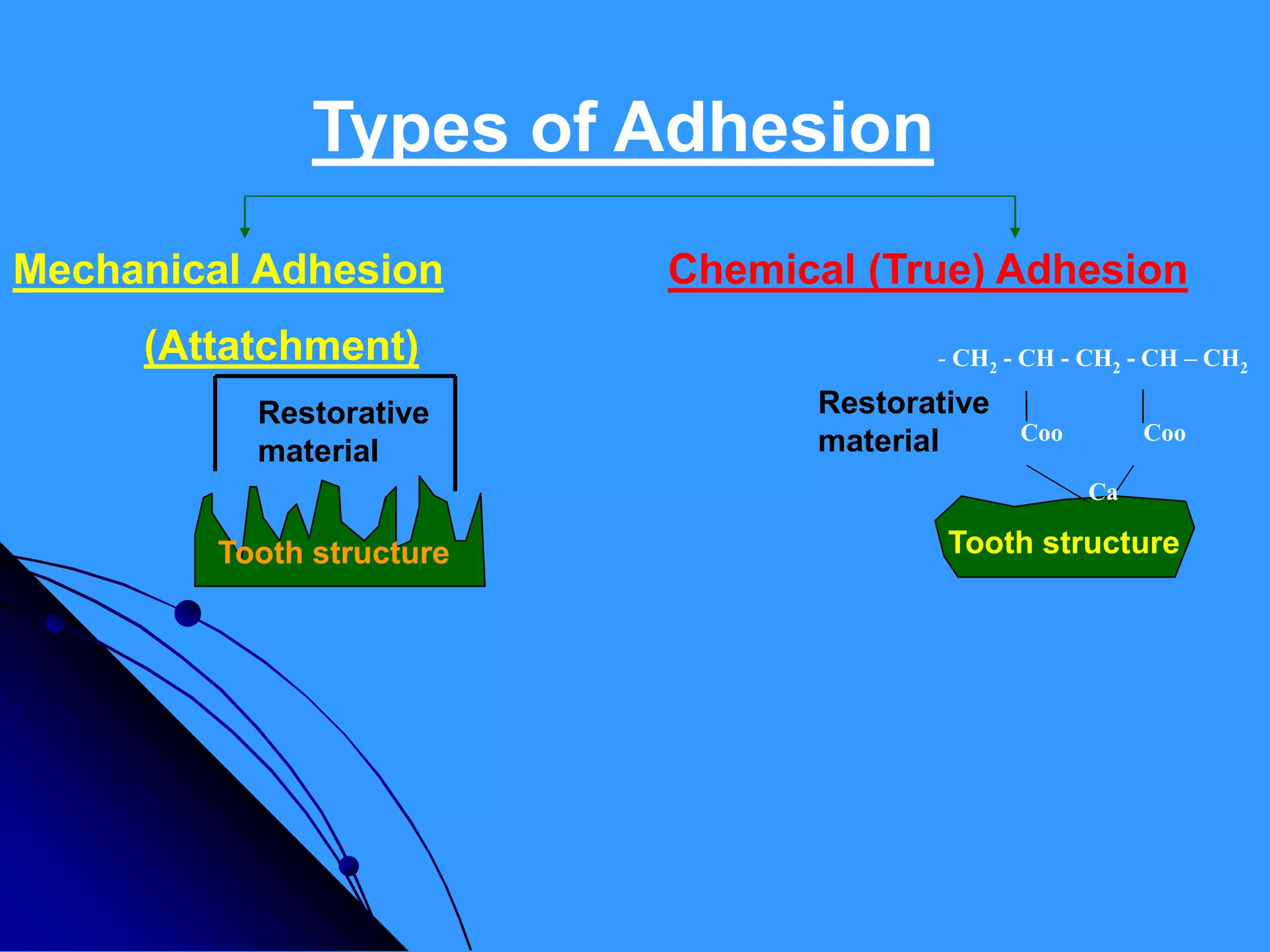 Dental adhesion.ppt