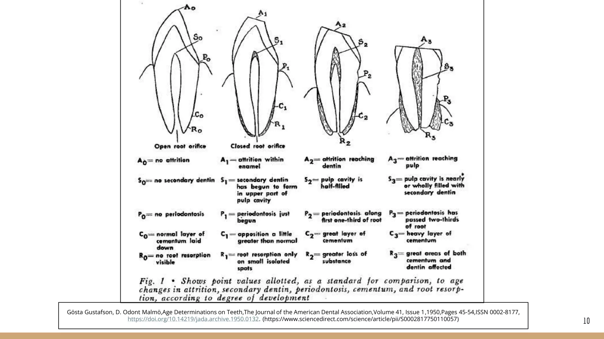 DENTAL AGE ESTIMATION.pptx