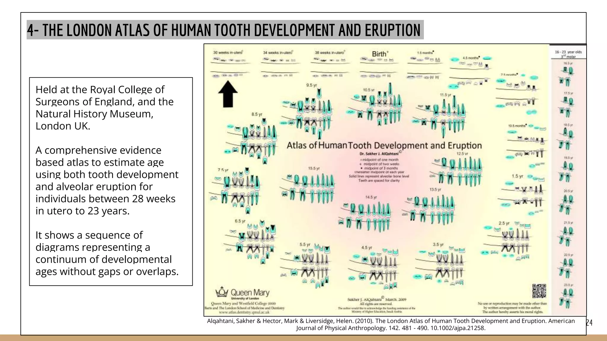 DENTAL AGE ESTIMATION.pptx