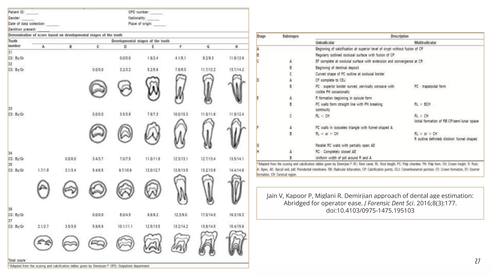 DENTAL AGE ESTIMATION.pptx