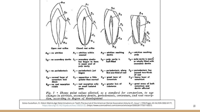 DENTAL AGE ESTIMATION.pptx | Oral care | Personal Care