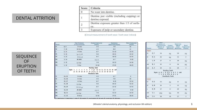 DENTAL AGE ESTIMATION.pptx | Oral care | Personal Care