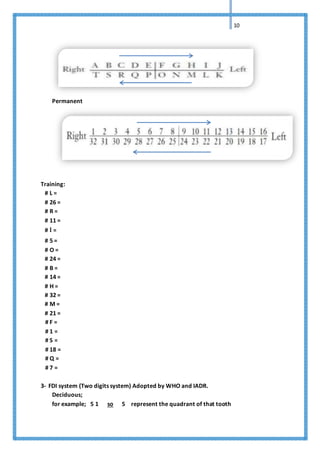 Dental anatomy | DOCX