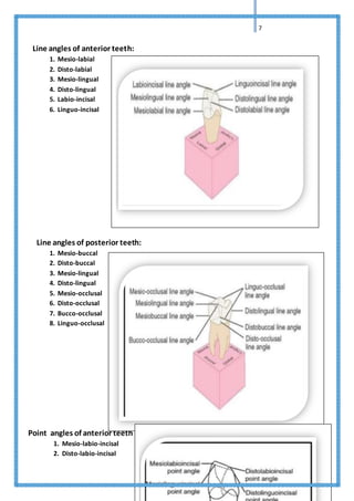 Dental anatomy | DOCX