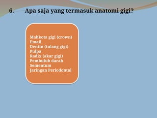 Dental Anatomi, anatomi gigi geligi modul | PPT