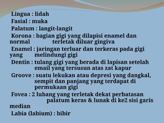 Dental Anatomi, anatomi gigi geligi modul | PPT