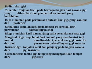 Dental Anatomi, anatomi gigi geligi modul | PPT