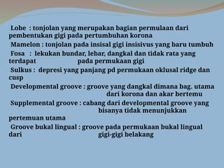 Dental Anatomi, anatomi gigi geligi modul | PPT