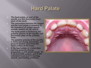 Oral Anatomy | PPTX