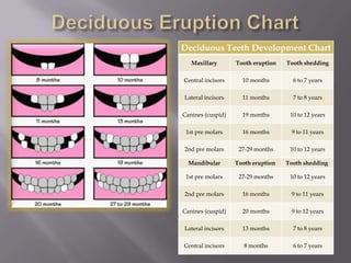 Oral Anatomy | PPTX