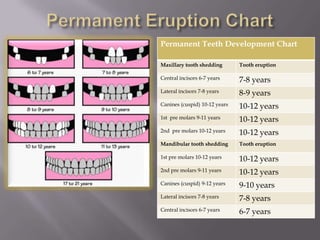 Oral Anatomy | PPTX
