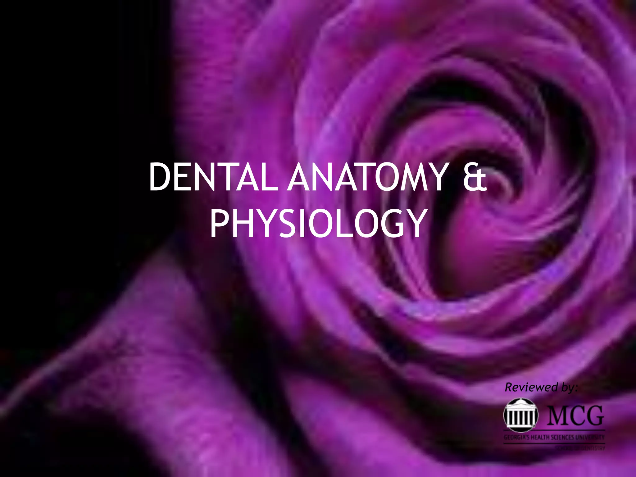 Dental anatomy | PPT