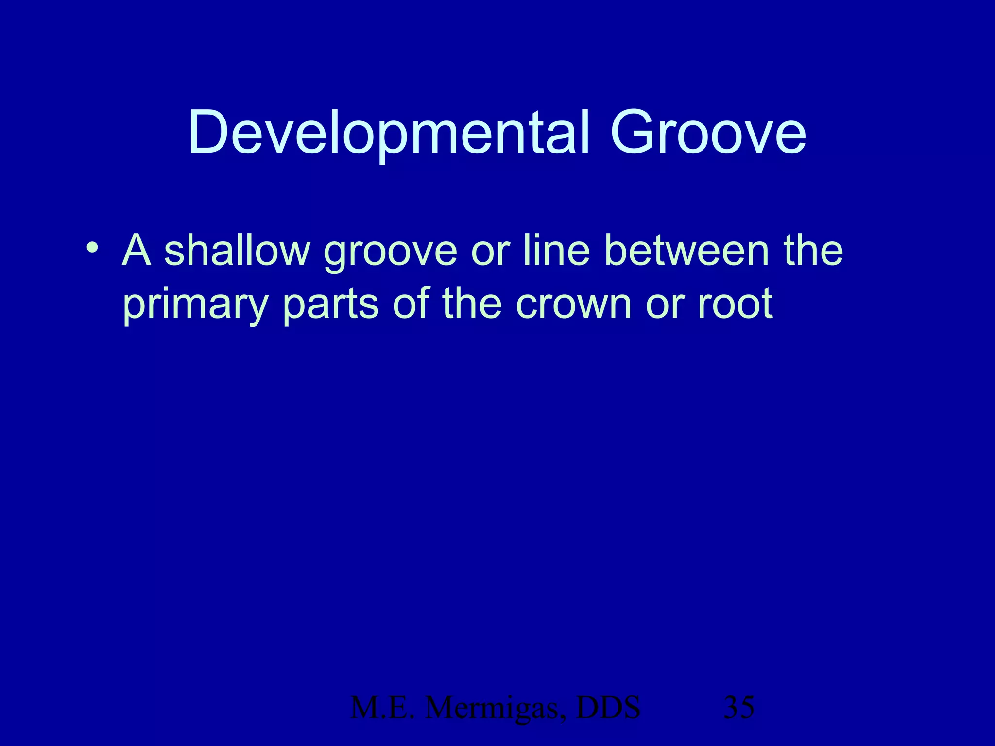 Dentalanatomy | PPT