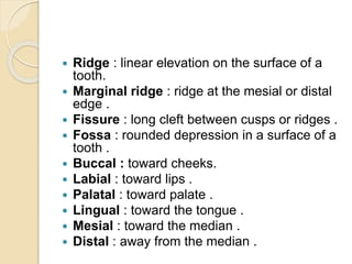 Dental anatomy | PPTX