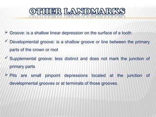 Dental anatomy and related dental structures | PPT