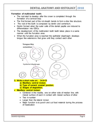 Dental anatomy and histology 2018 | DOCX