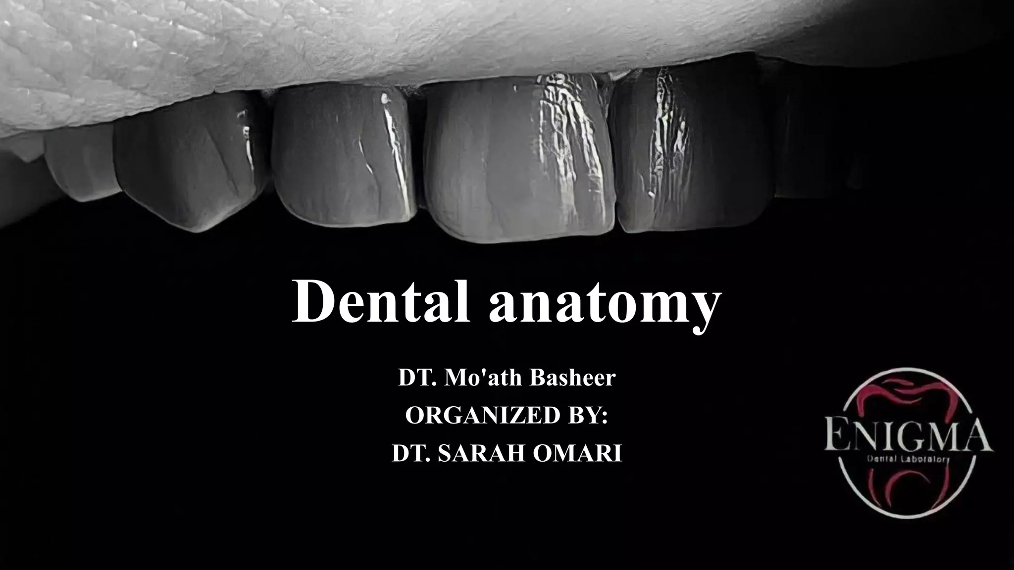 Dental anatomy and morphology lecture | PDF