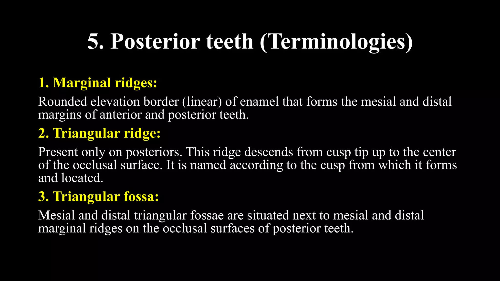 Dental anatomy and morphology lecture | PDF