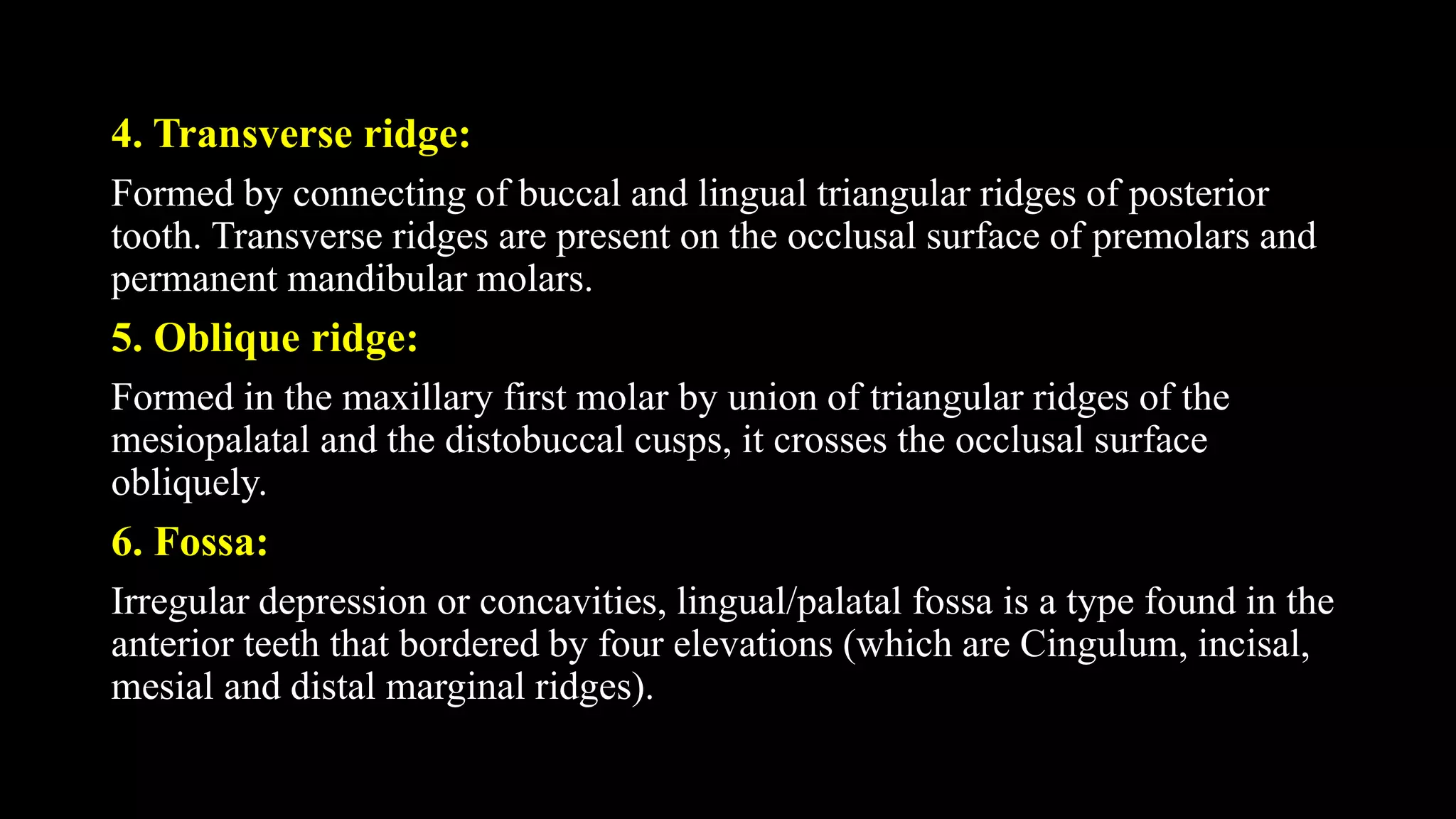 Dental anatomy and morphology lecture | PDF