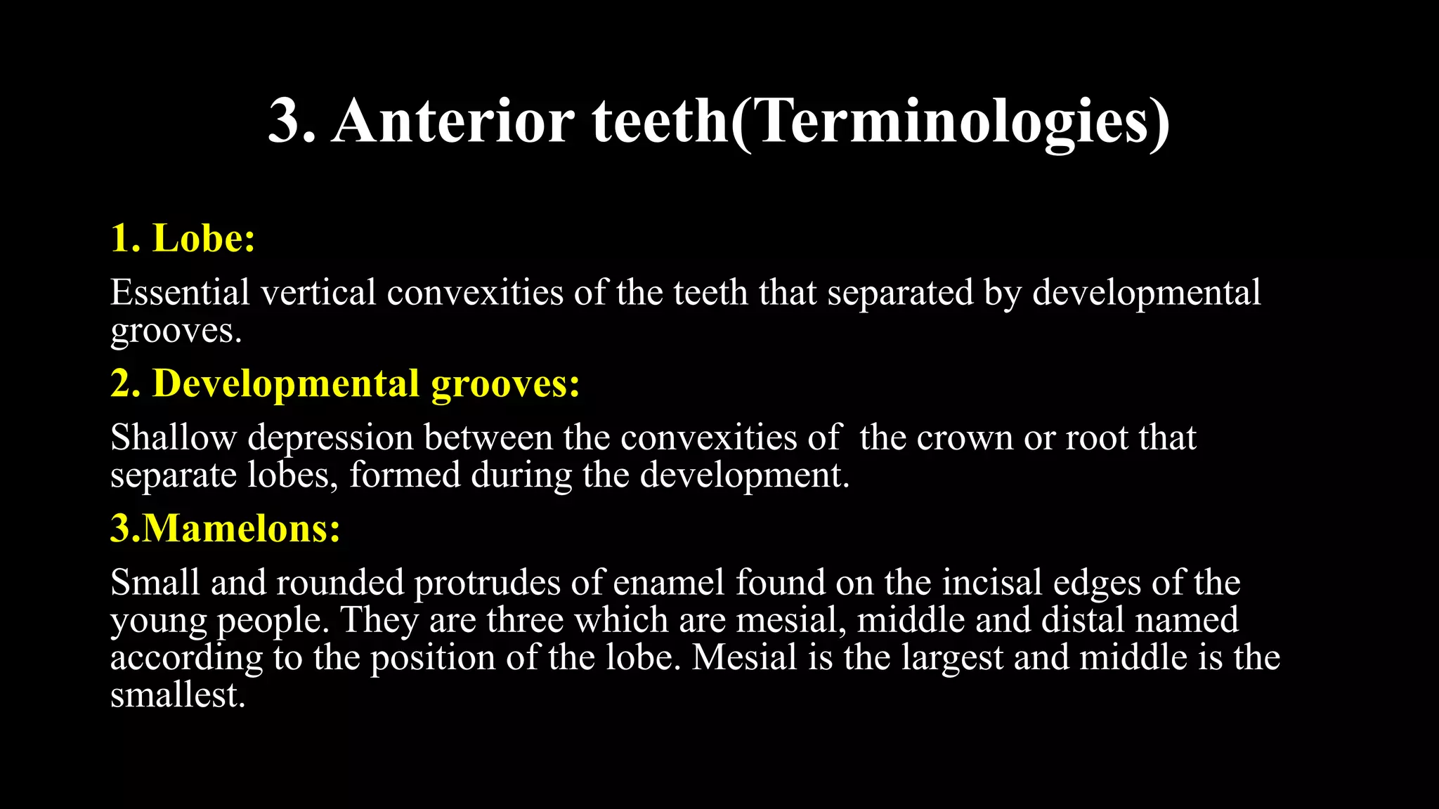 Dental anatomy and morphology lecture | PDF