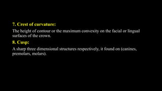 Dental anatomy and morphology lecture | PDF