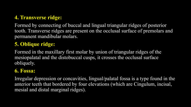 Dental anatomy and morphology lecture | PDF | Dental Health | Diseases ...