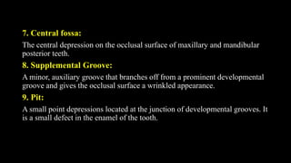 Dental anatomy and morphology lecture | PDF