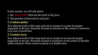 Dental anatomy and morphology lecture | PDF