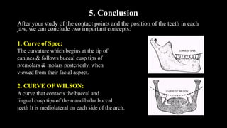 Dental anatomy and morphology lecture | PDF