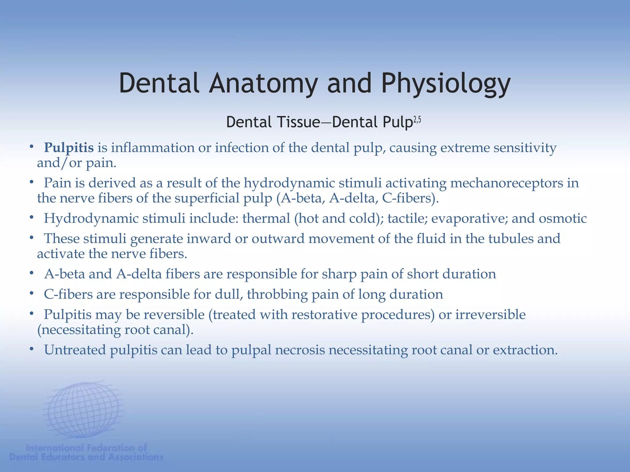 Dental anatomy educational teaching resource | PPT
