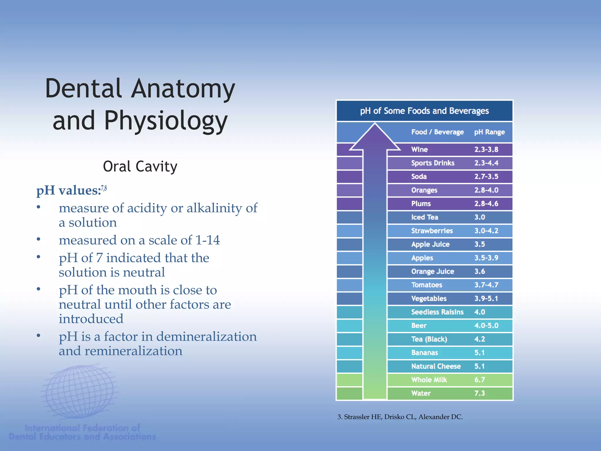Dental anatomy educational teaching resource | PPT