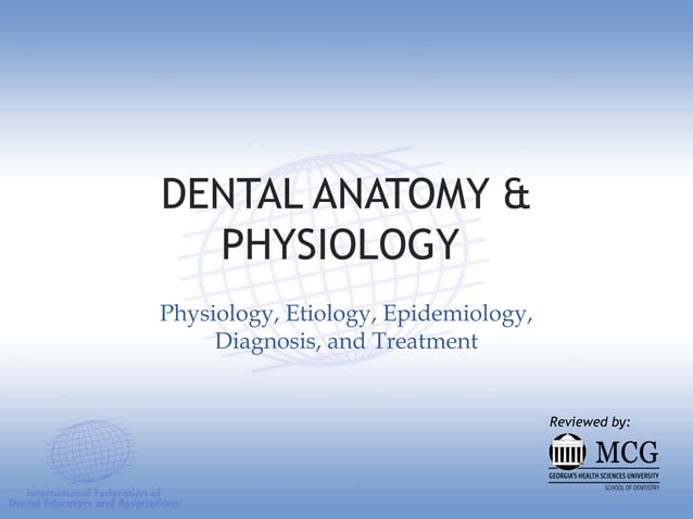 Introduction To Dental Anatomy
