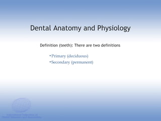 Dental anatomy educational teaching resource | PPT
