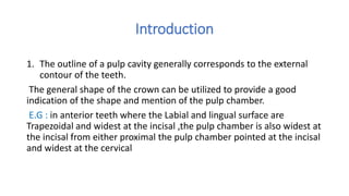 dental_anatomy_gggggttgttttyyroup_1_45[1].pptx