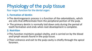 dental_anatomy_gggggttgttttyyroup_1_45[1].pptx