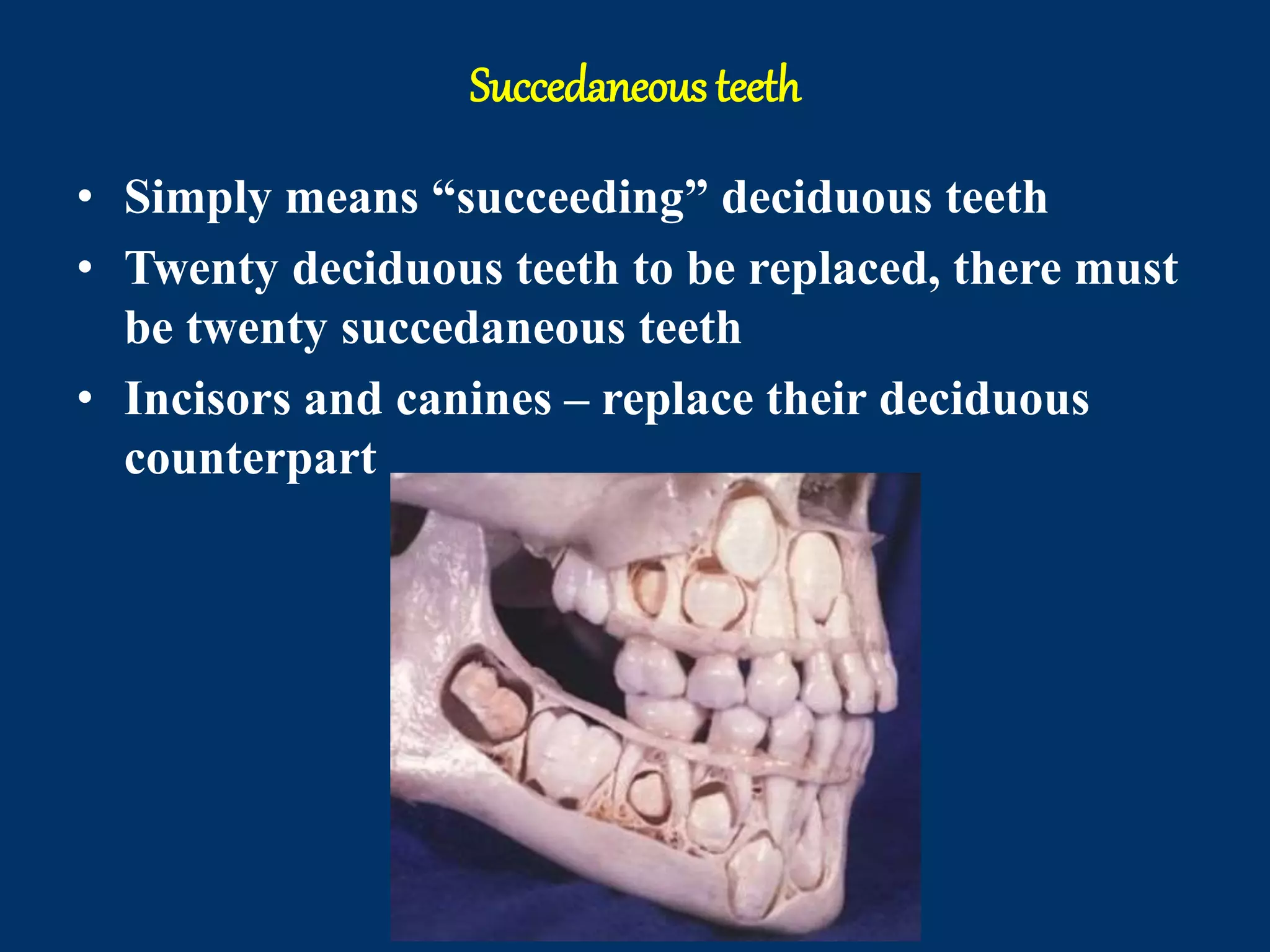 Dental anatomy introduction for BDS first year students | PPTX