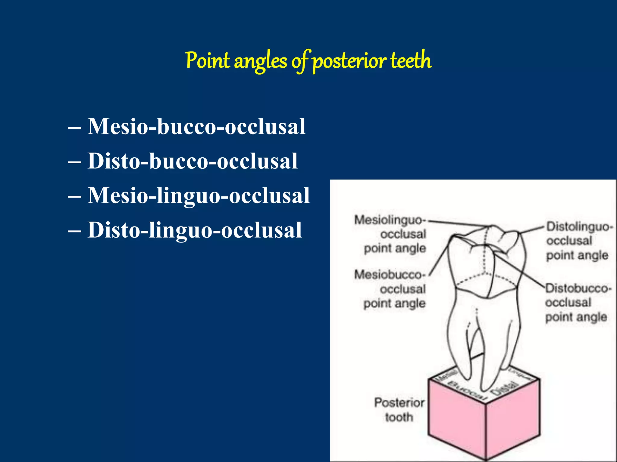 Dental anatomy introduction for BDS first year students | PPTX