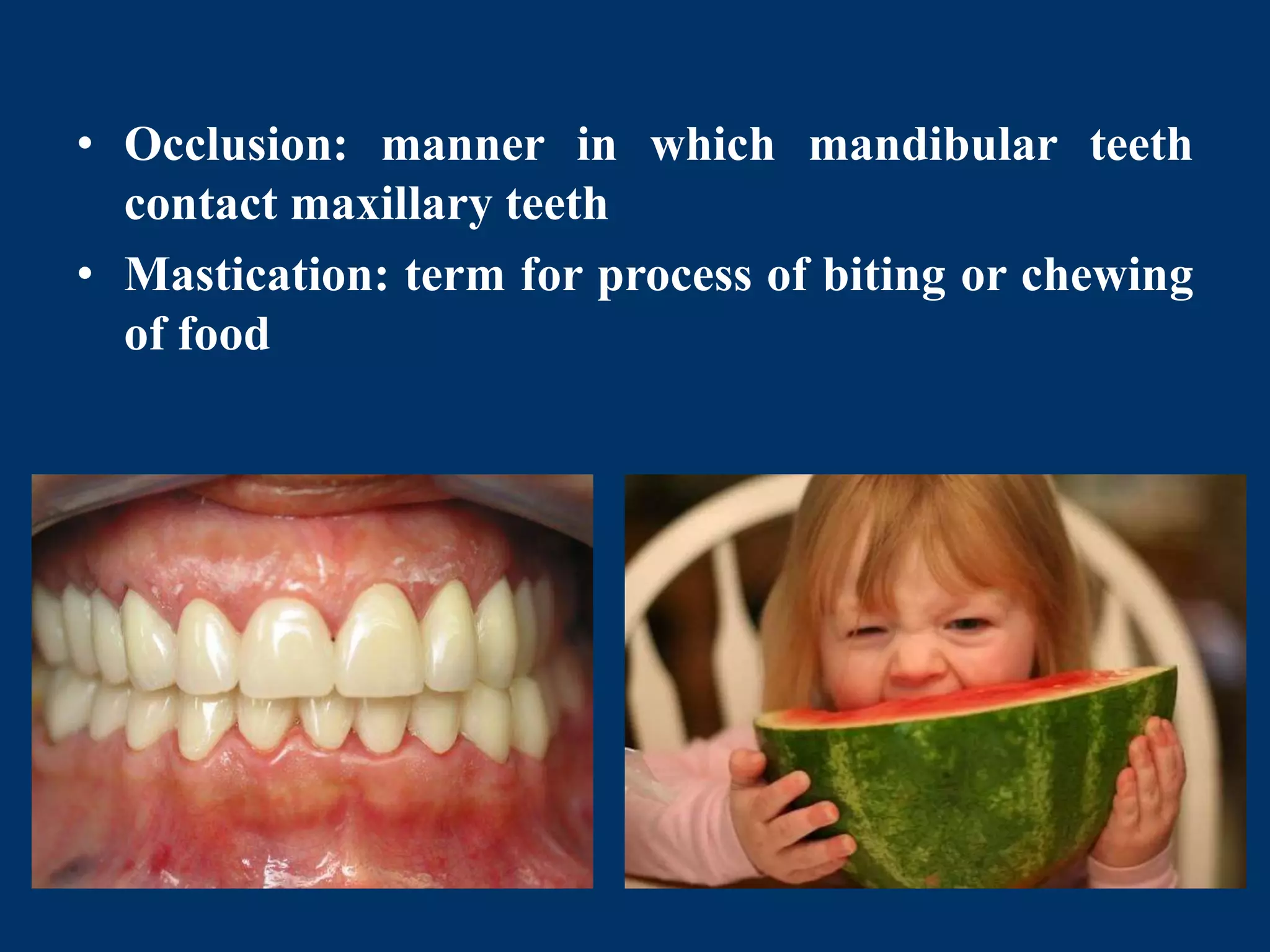 Dental anatomy introduction for BDS first year students | PPTX