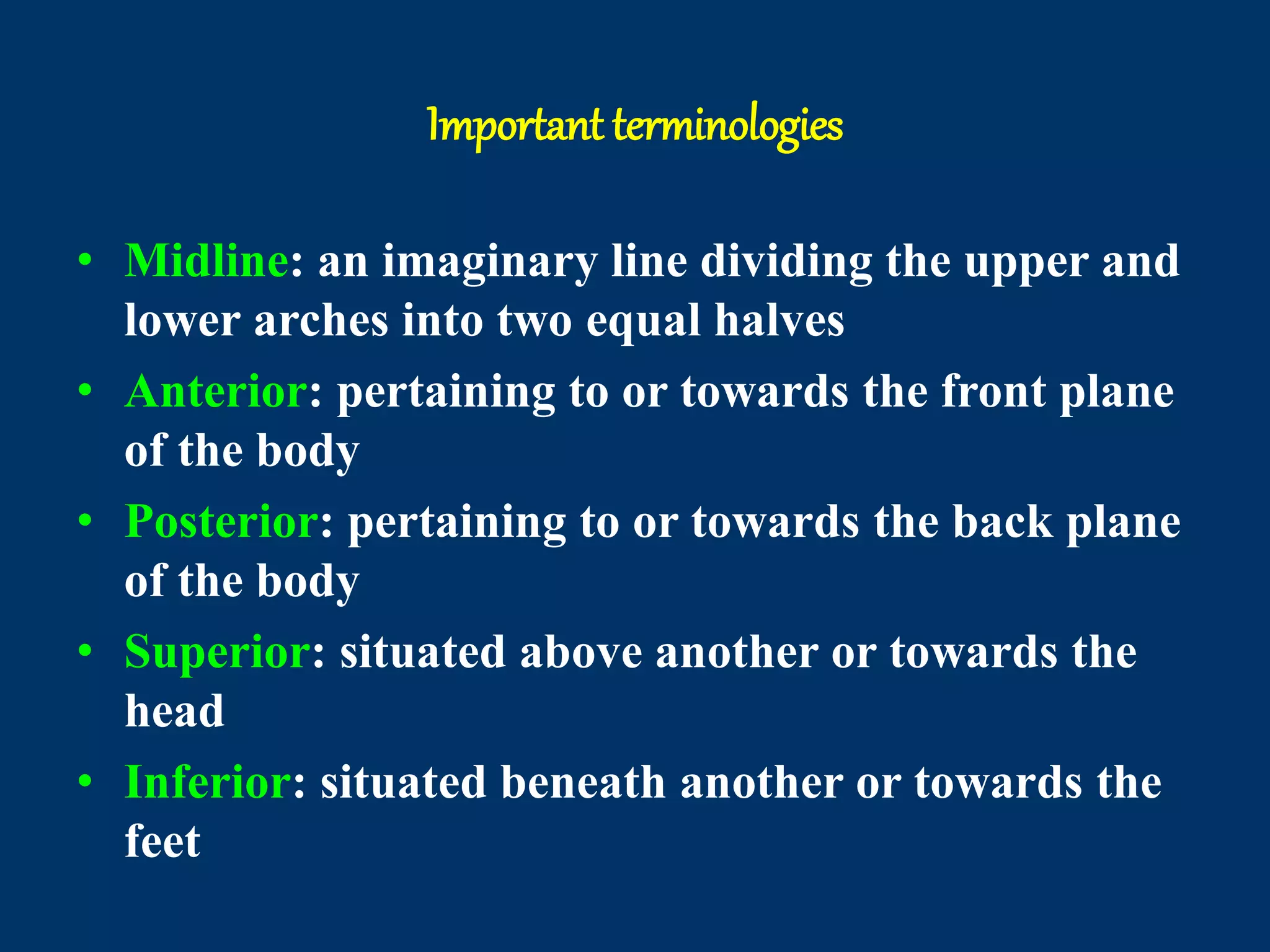 Dental anatomy introduction for BDS first year students | PPTX