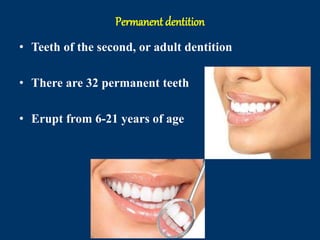 Dental anatomy introduction for BDS first year students | PPTX