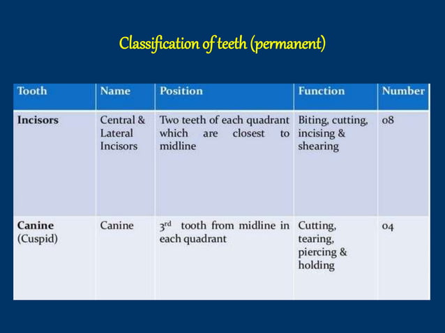 Dental anatomy introduction for BDS first year students | PPTX