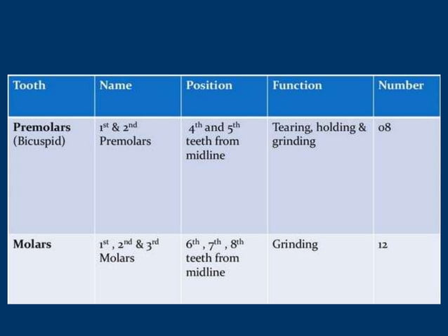 Dental anatomy introduction for BDS first year students | PPTX
