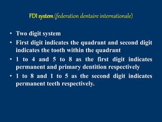 Dental anatomy introduction for BDS first year students | PPTX